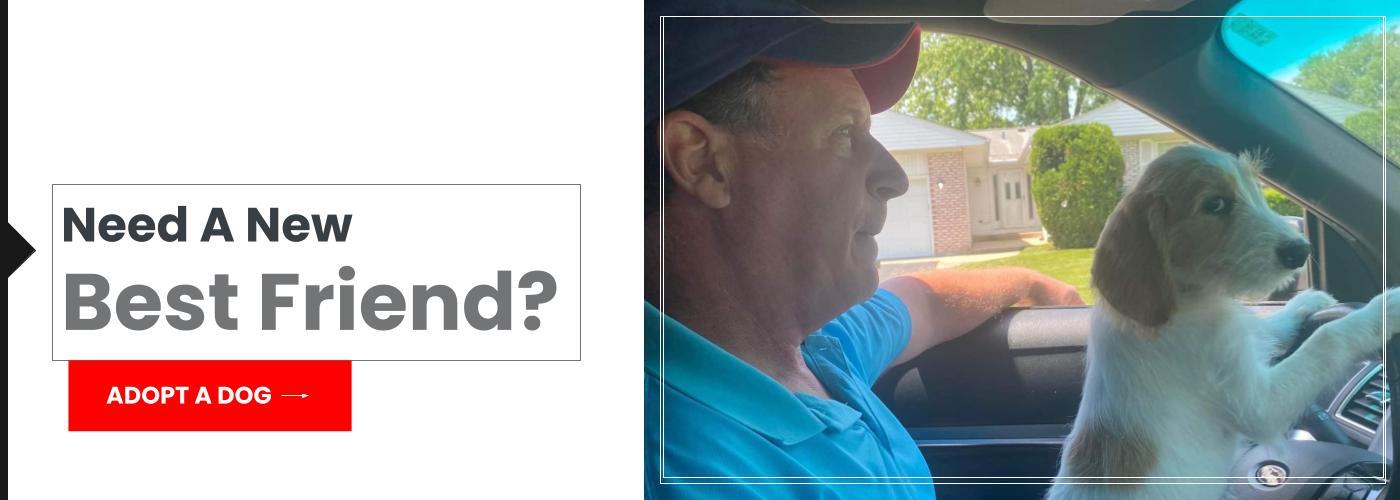 The Charlie Project Dog Rescue – Rescue Your Rescue