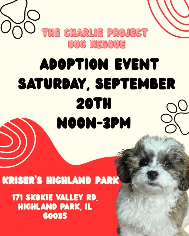 The Charlie Project Dog Rescue – Rescue Your Rescue